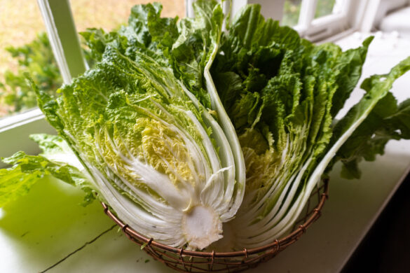 Korean Rice Syrup (Ssal-Jocheong) - Carving A Journey