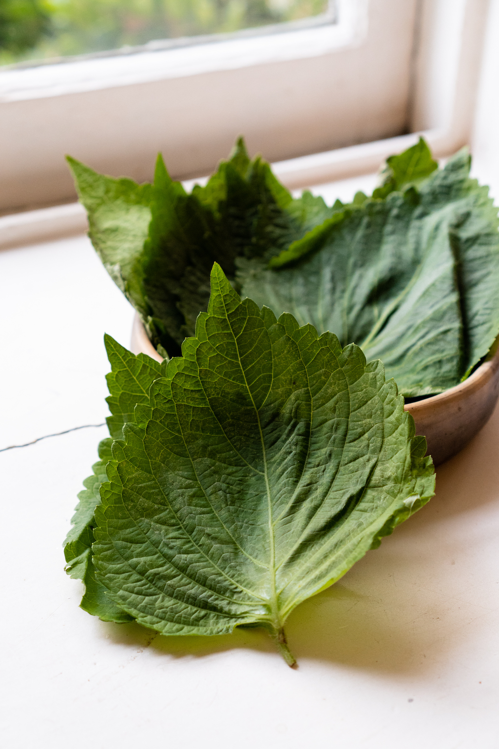 Perilla Leaves in Korea (Kkaennip) - Carving A Journey