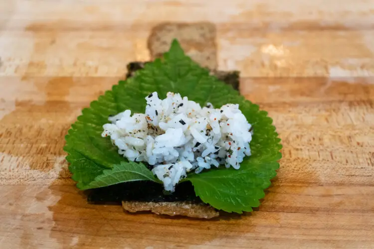 Rolled Yubuchobap (Korean-Style Inari Sushi) - Carving A Journey